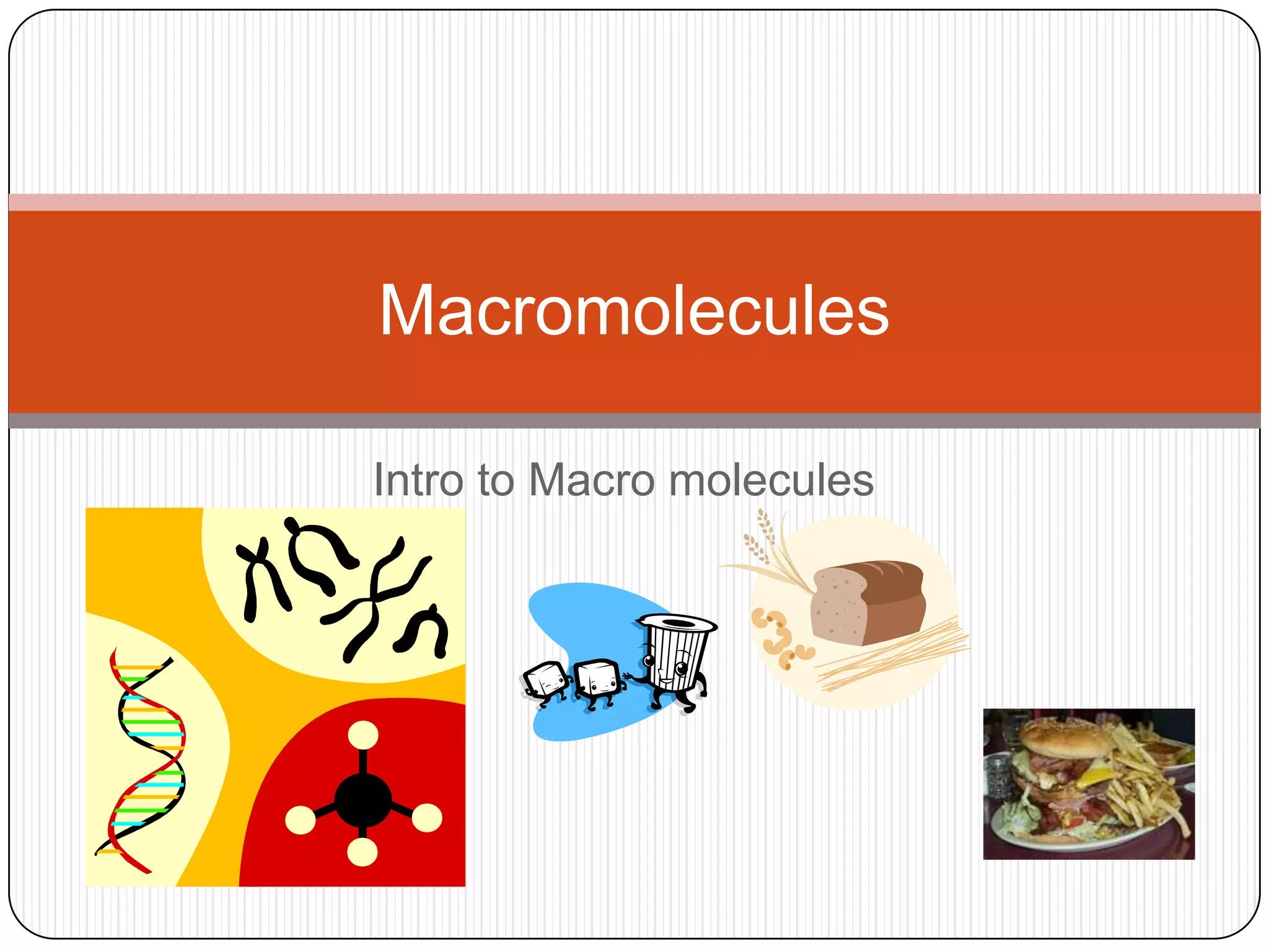 Macromolecule intro | PPTX