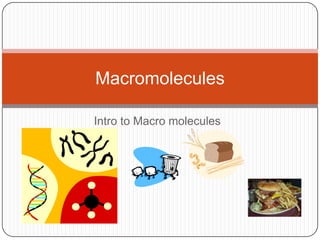 Macromolecule intro | PPTX