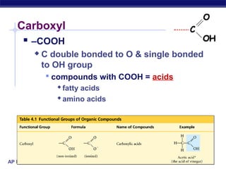Macromolecule overview | PPT