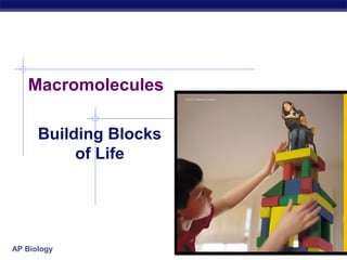 Macromolecule overview | PPT