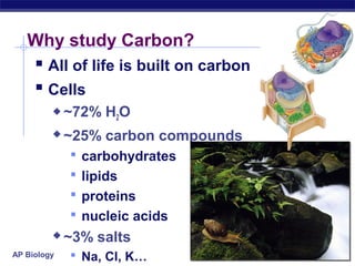 Macromolecule overview | PPT