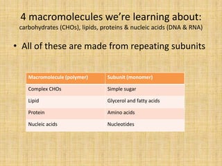 Macromolecules | PPT