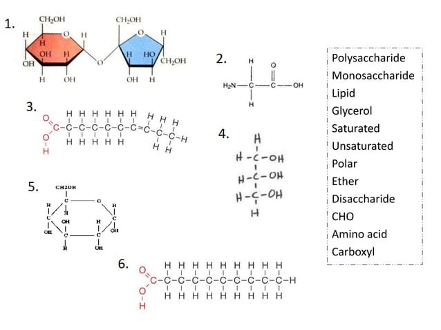 Macromolecules | PPT