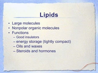 Macromolecules | PPT
