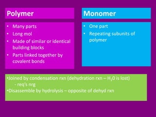 Macromolecules | PPTX