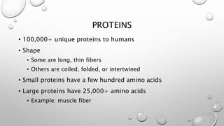 Macromolecules Notes | PPT | Free Download