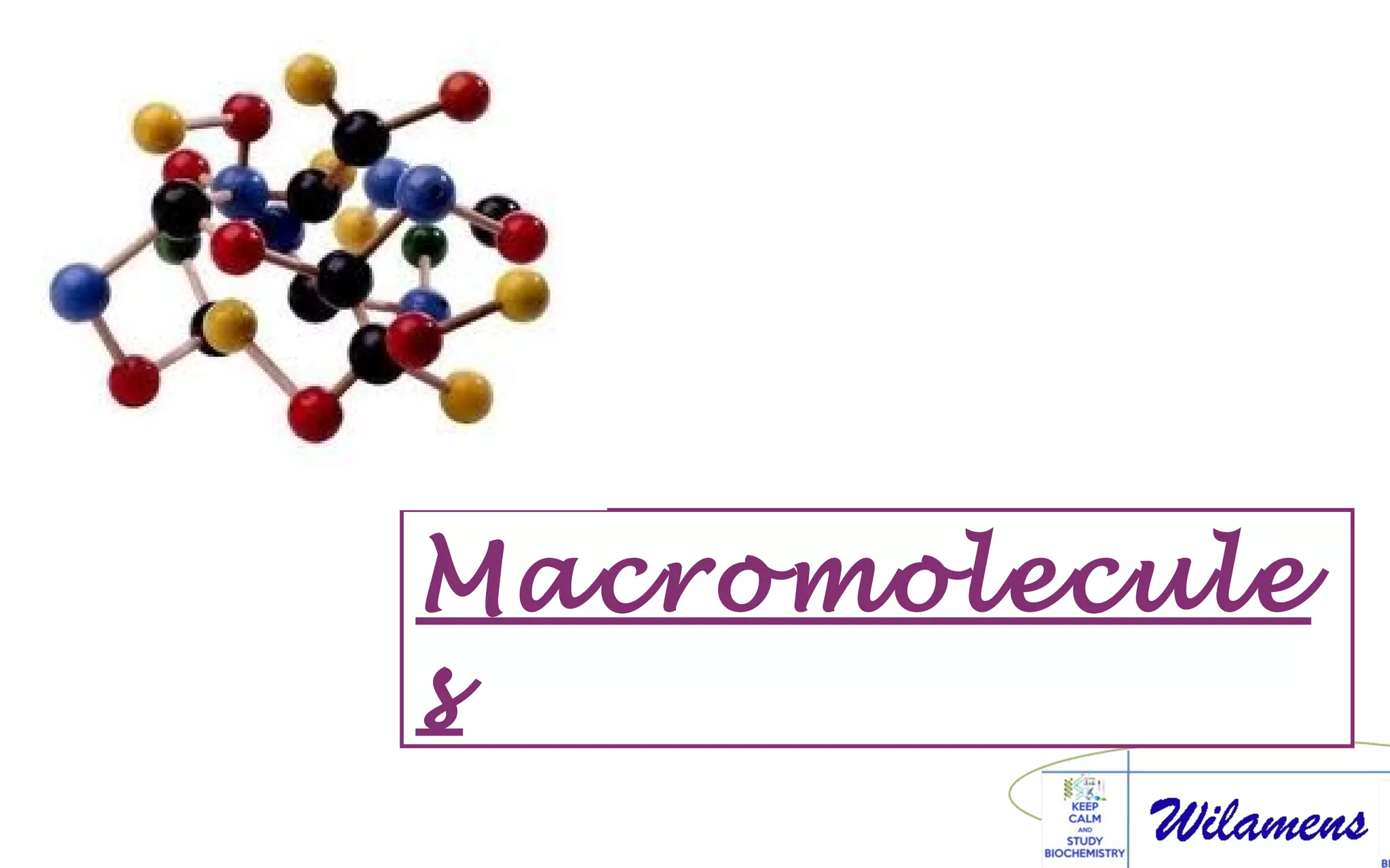 Macromolecules | PPT