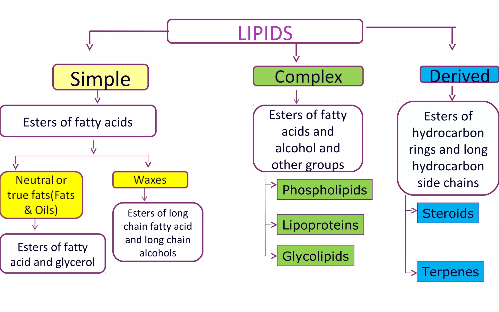 Macromolecules | PPT