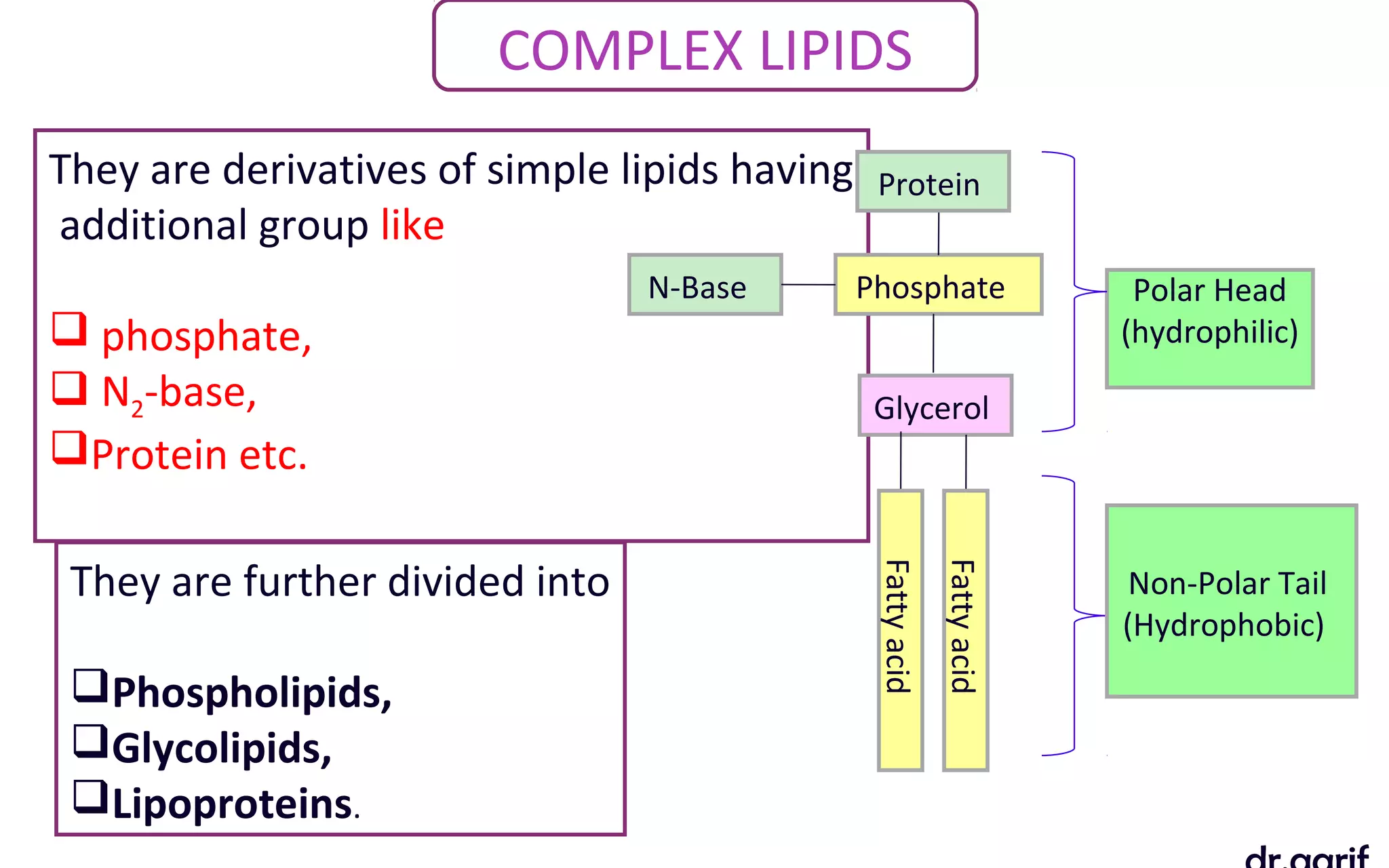 Macromolecules | PPT