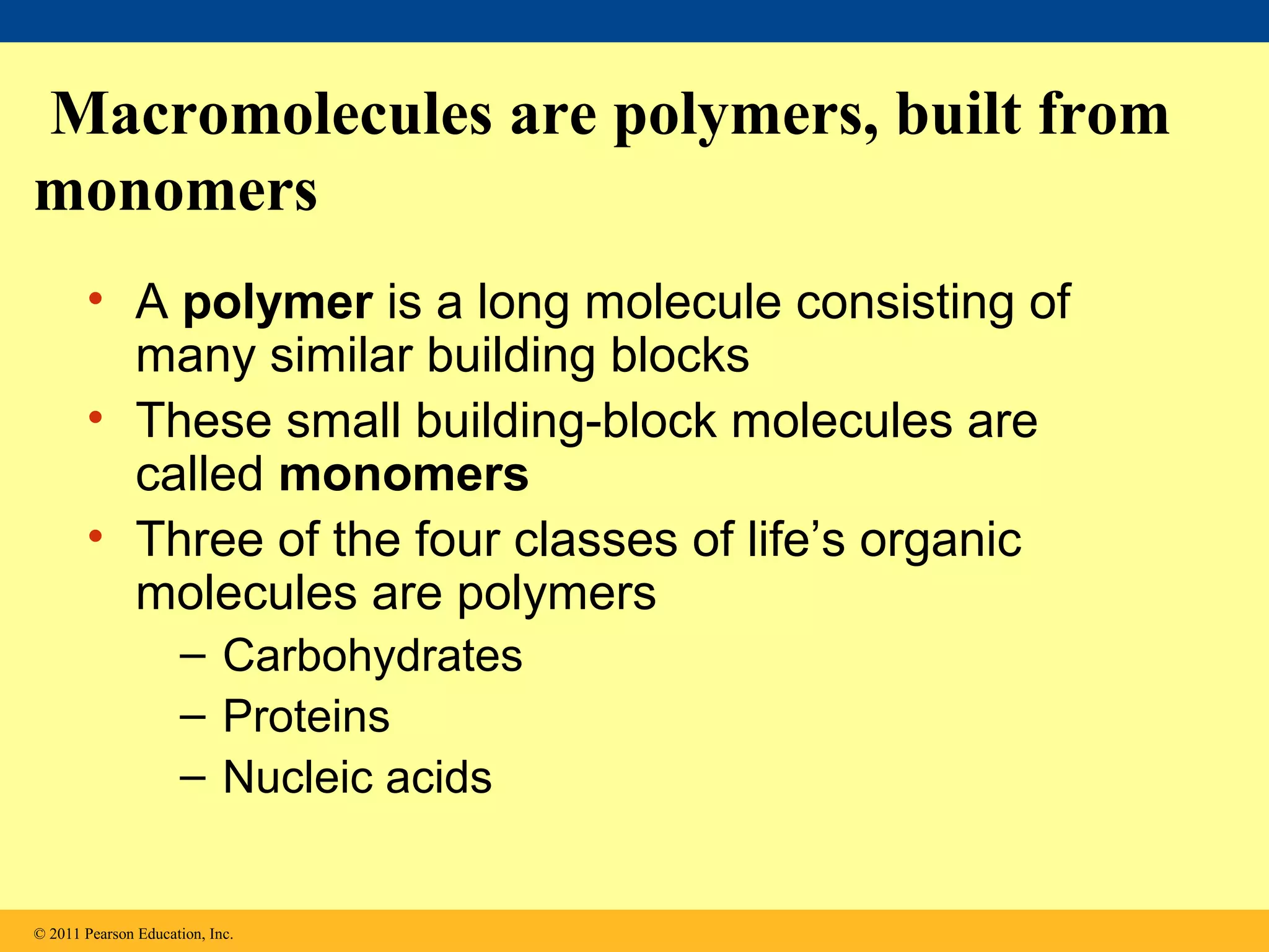 Macromolecules | PPT