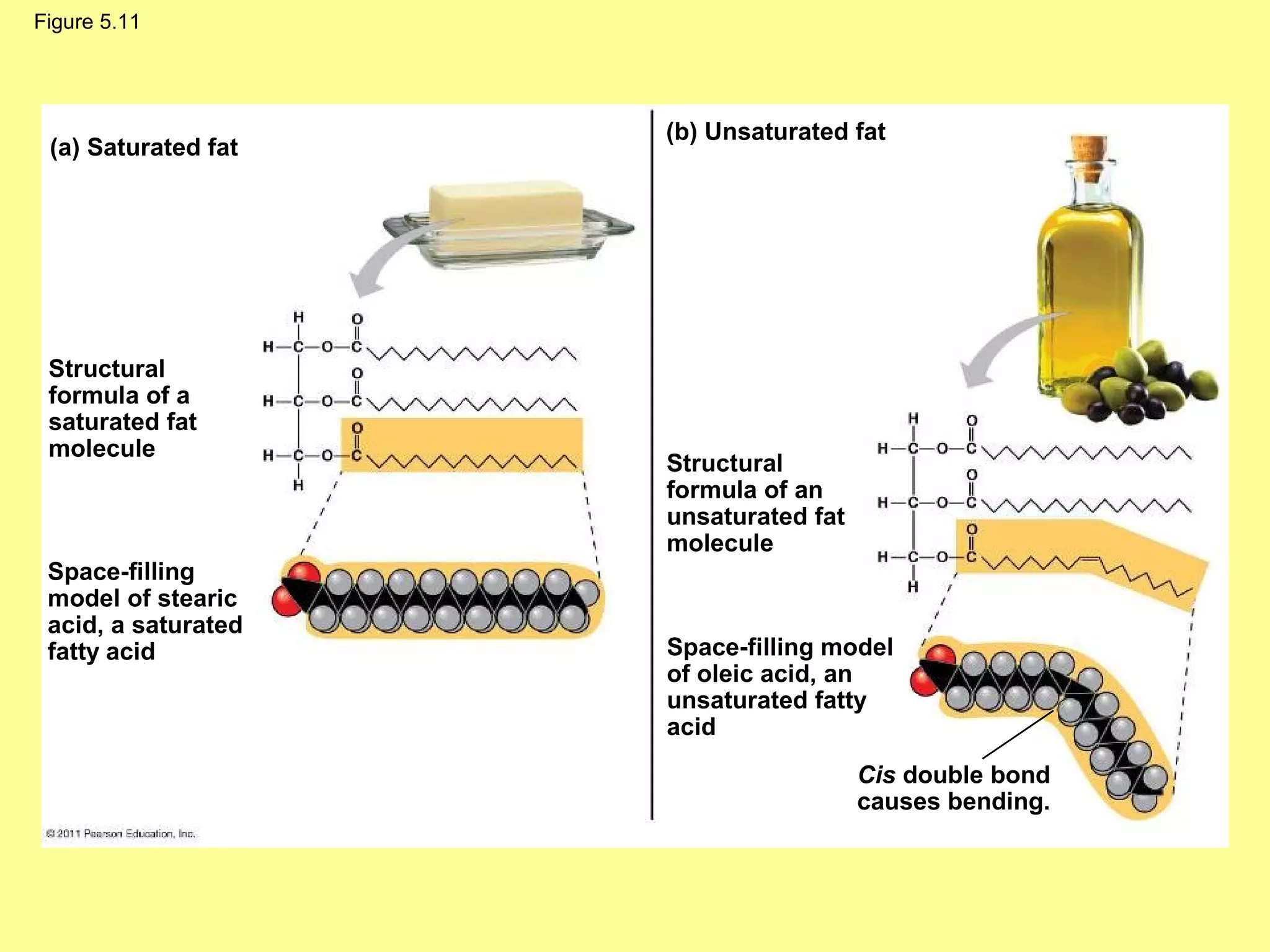 Macromolecules | PPT