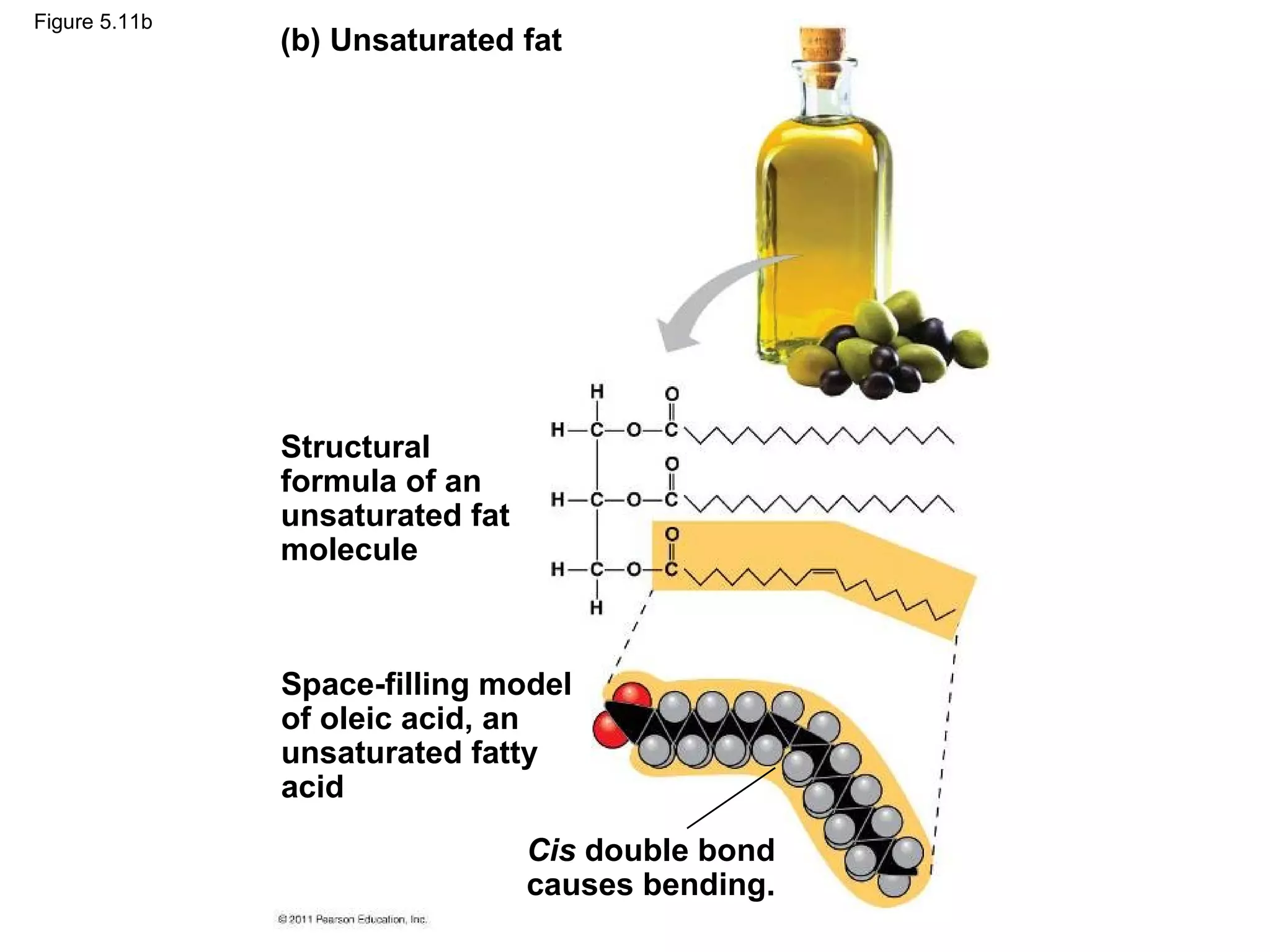 Macromolecules | PPT