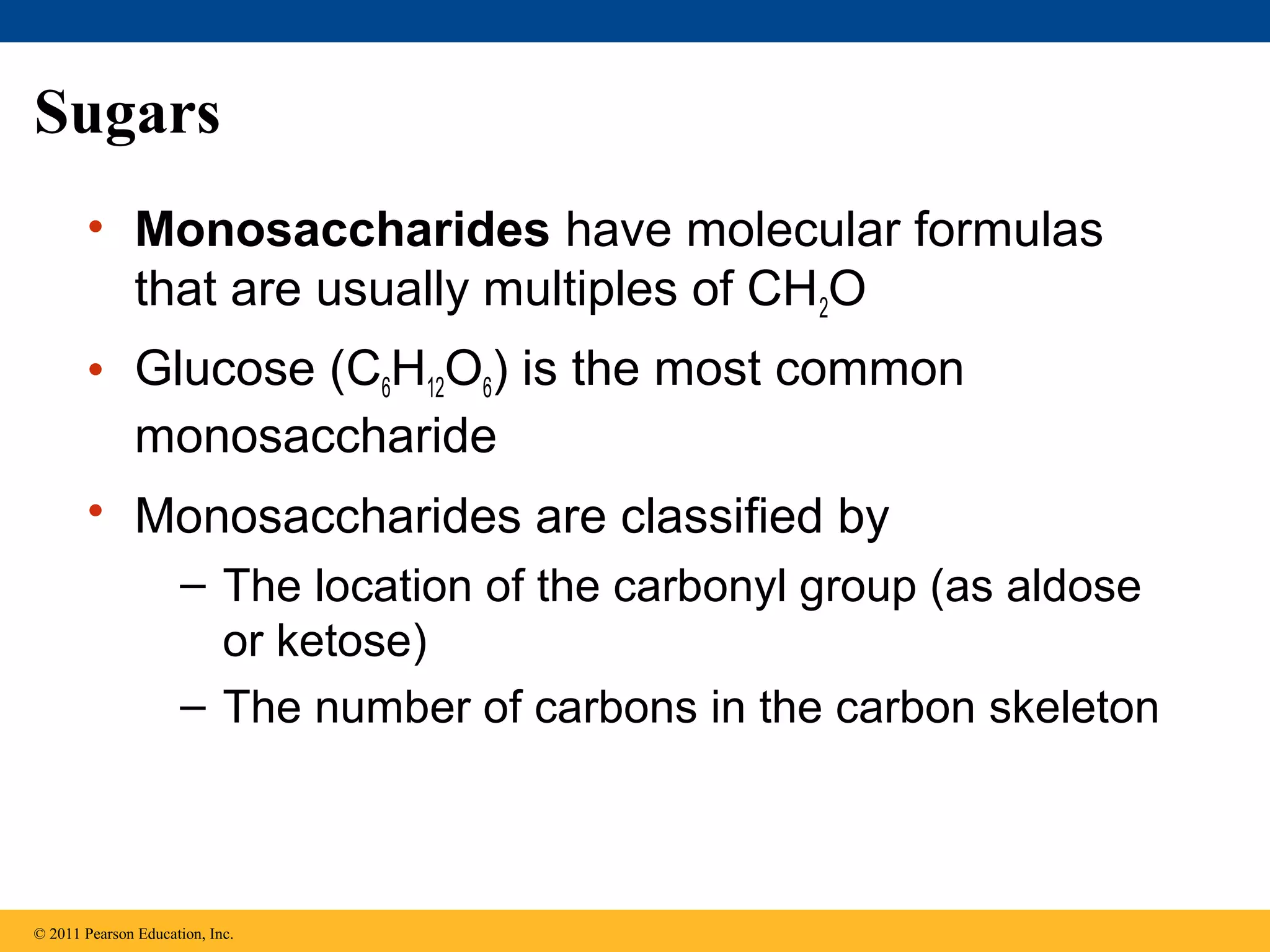 Macromolecules | PPT