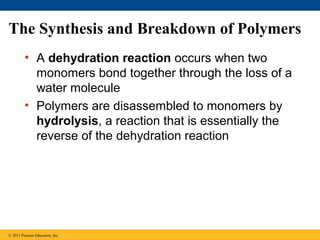 Macromolecules | PPT
