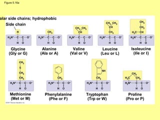 Macromolecules | PPT