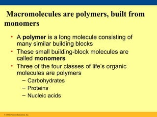Macromolecule Definition