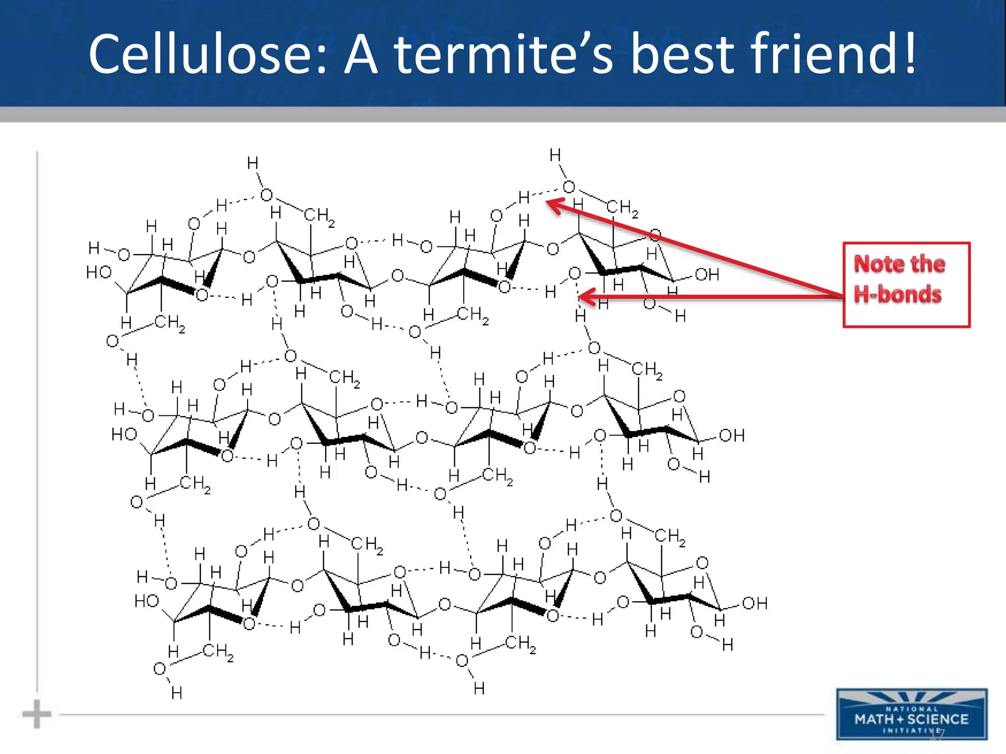 adapted ppt macromolecules physical science.pptx