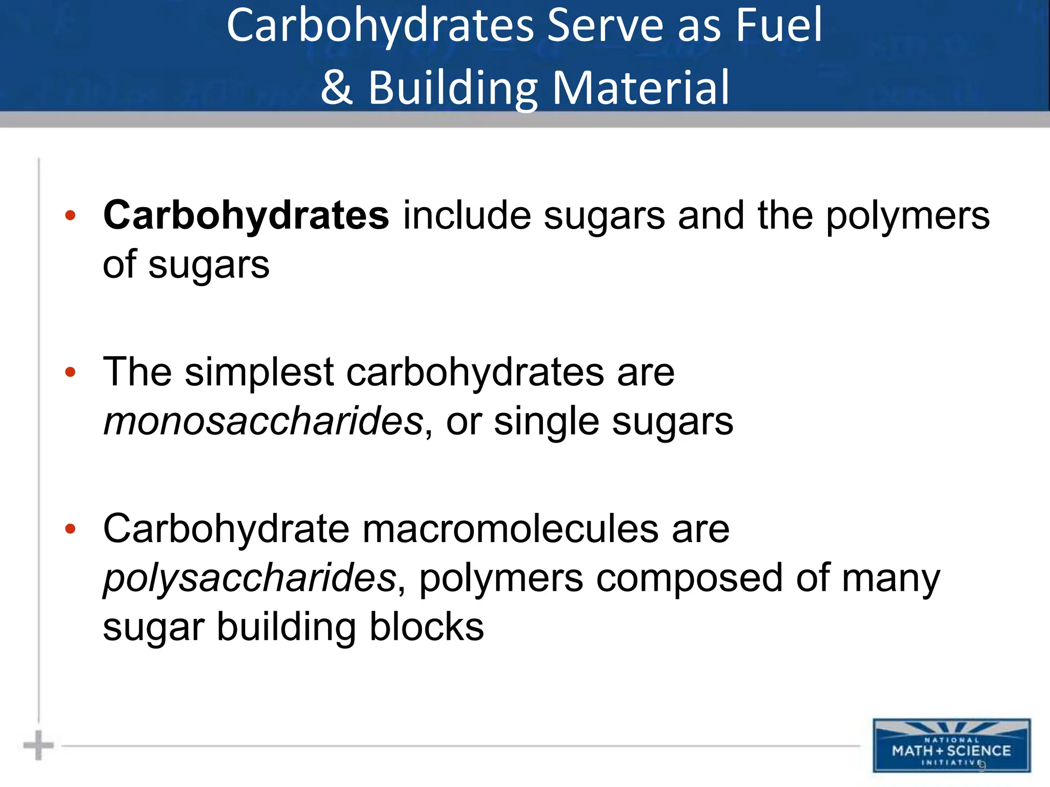adapted ppt macromolecules physical science.pptx