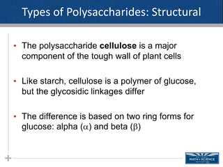 adapted ppt macromolecules physical science.pptx