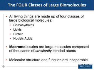 adapted ppt macromolecules physical science.pptx