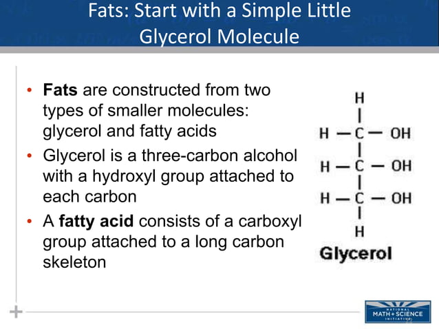 adapted ppt macromolecules physical science.pptx