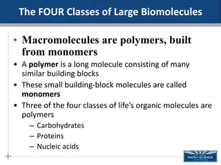 adapted ppt macromolecules physical science.pptx