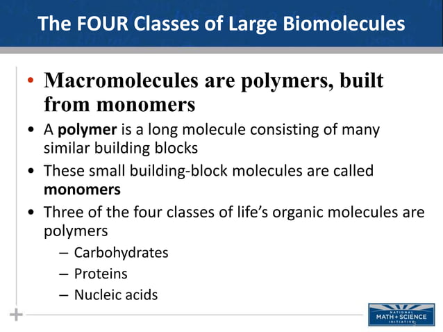 adapted ppt macromolecules physical science.pptx