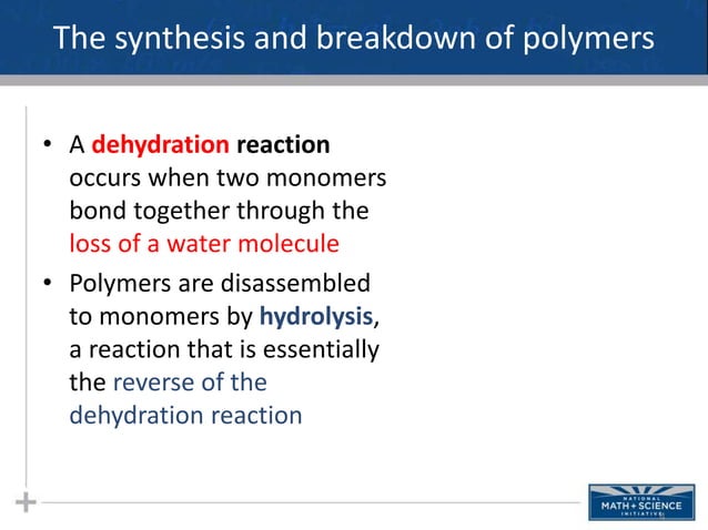 adapted ppt macromolecules physical science.pptx