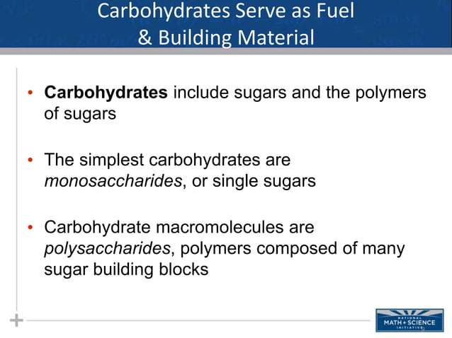 adapted ppt macromolecules physical science.pptx