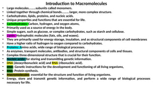 Macromolecules their significance types and other things | PPT