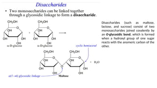 Macromolecules their significance types and other things | PPTX