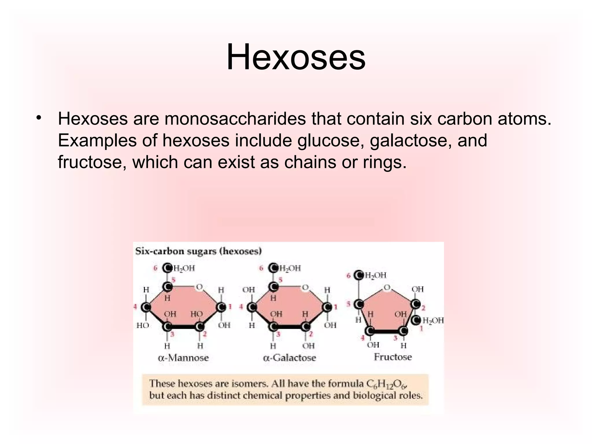 Macromolecules carbohydrates | PPT