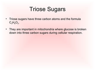 Macromolecules carbohydrates | PPT | Chemistry | Science