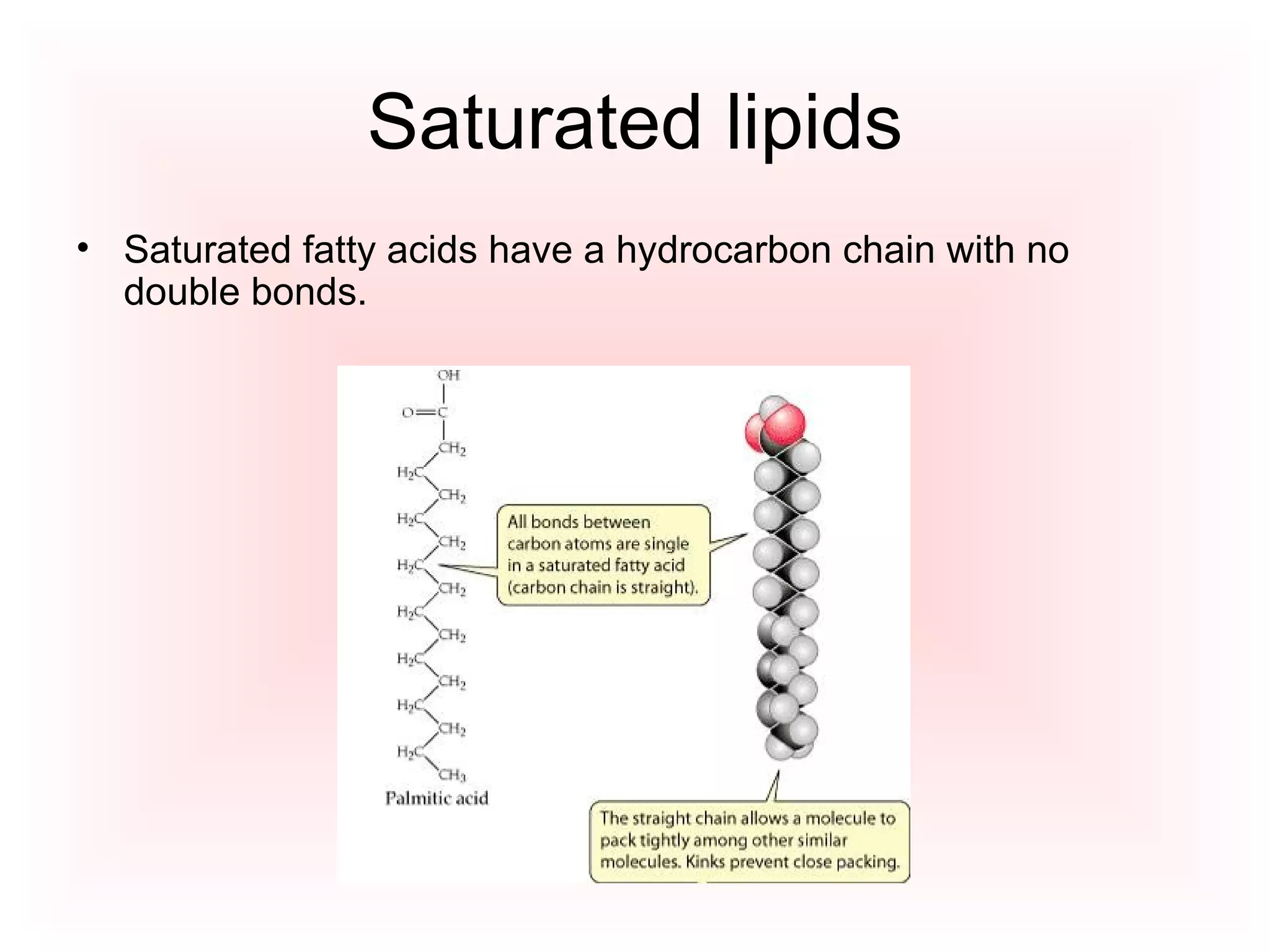Macromolecules lipids | PPT