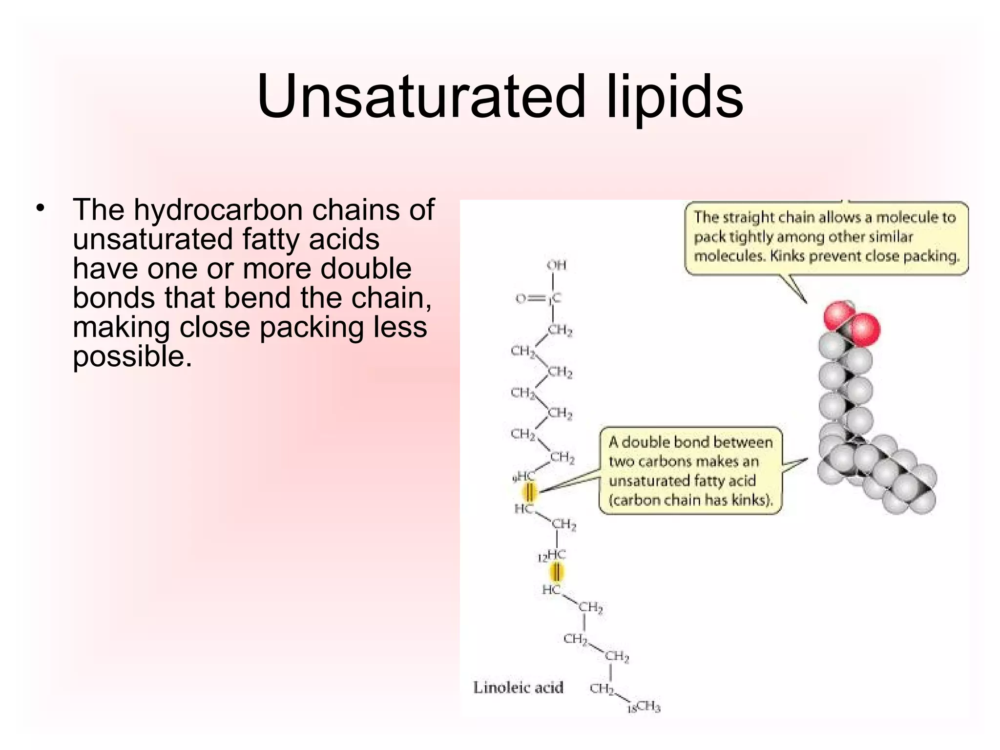 Macromolecules lipids | PPT