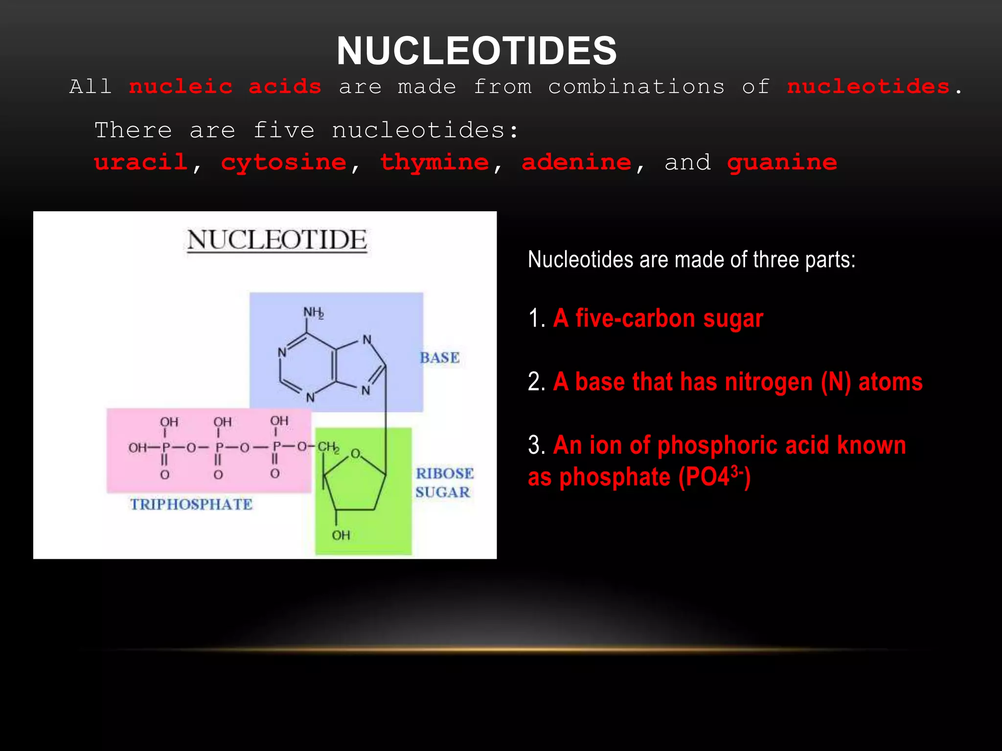 Macromolecules-Presentation-NXPowerLite.pptx