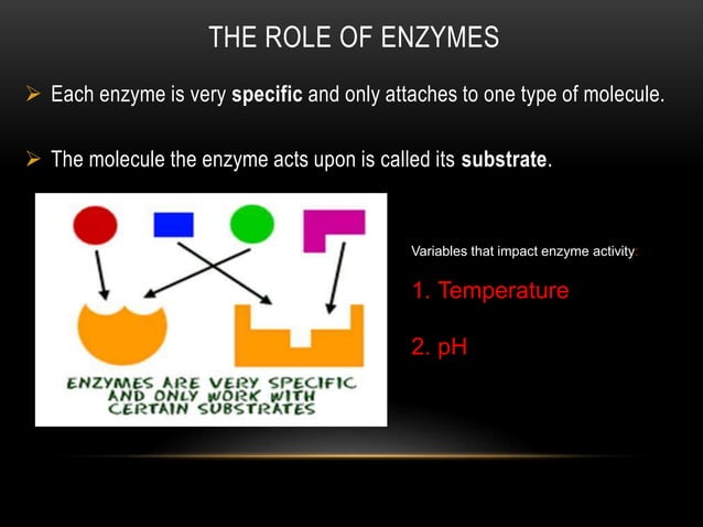 Macromolecules-Presentation-NXPowerLite.pptx