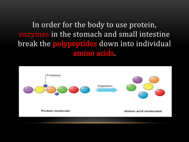 Macromolecules-Presentation-NXPowerLite.pptx