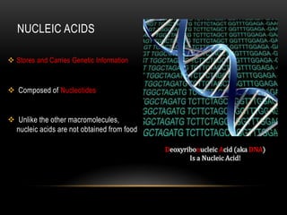 Macromolecules-Presentation-NXPowerLite.pptx