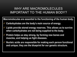 Macromolecules-Presentation-NXPowerLite.pptx