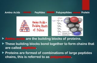 Macromolecules-Presentation-NXPowerLite.pptx