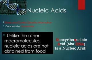 Macromolecules-Presentation-NXPowerLite.pptx
