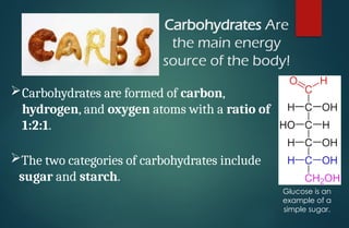 Macromolecules-Presentation-NXPowerLite.pptx