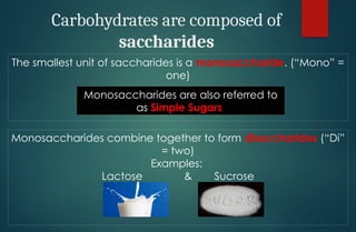 Macromolecules-Presentation-NXPowerLite.pptx