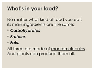 Macromolecules-Presentation-NXPowerLite.pptx