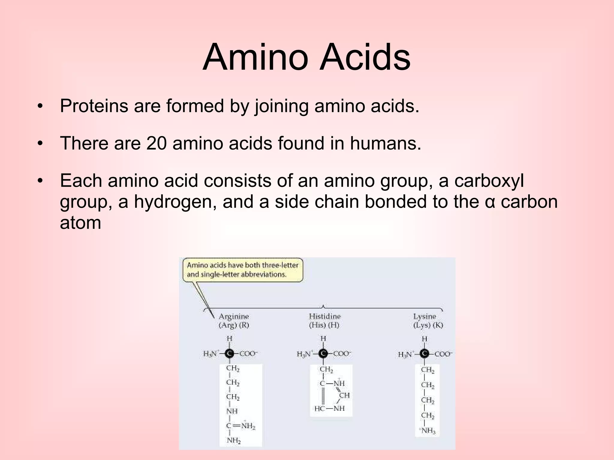 Macromolecules proteins | PPT