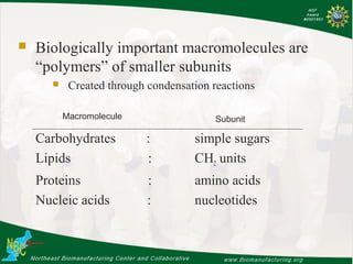 Macromolecules(1) | PPT