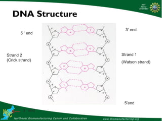 Macromolecules Structure