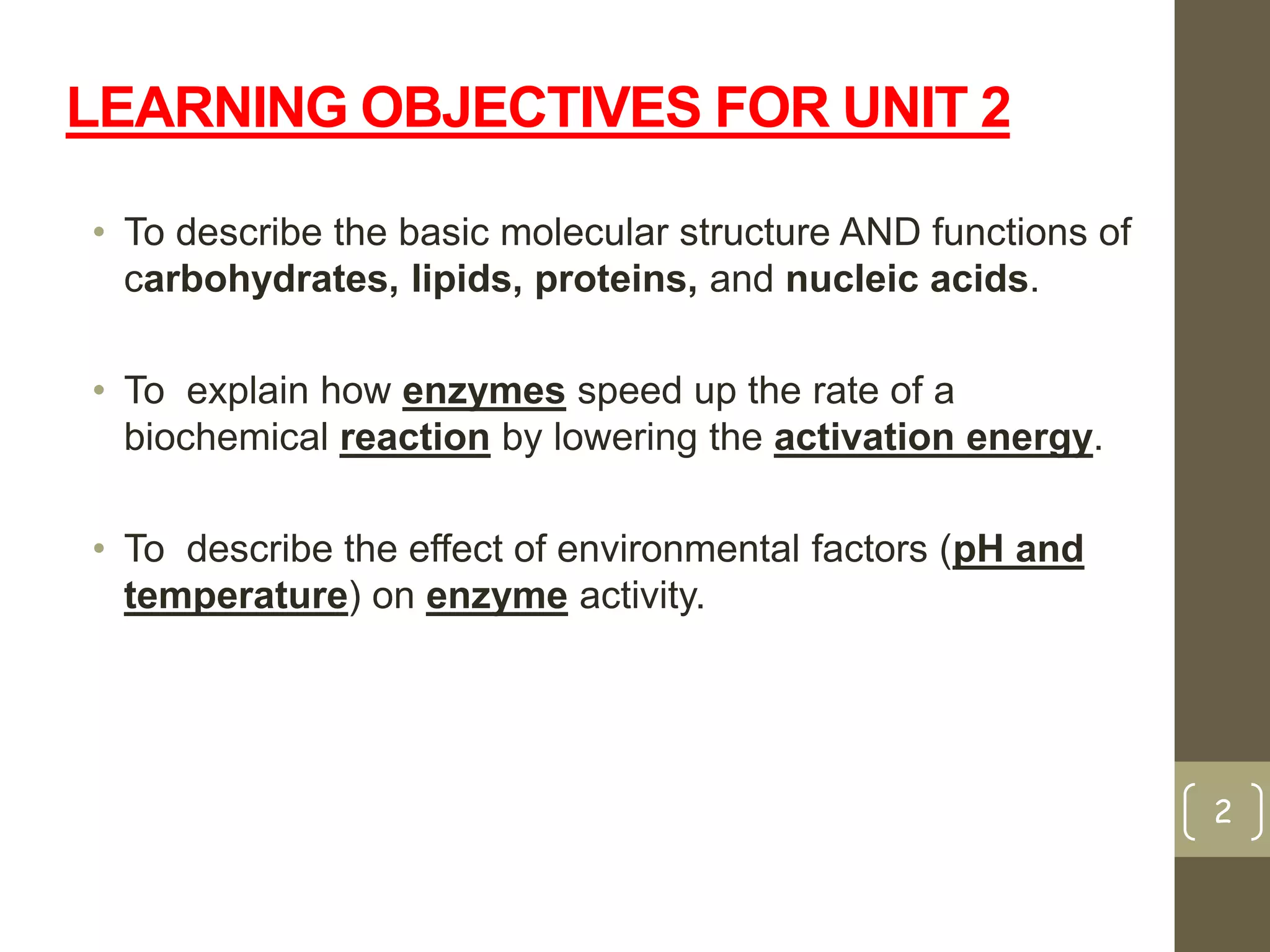 Macromolecules and enzymes ppt notes | PPTX