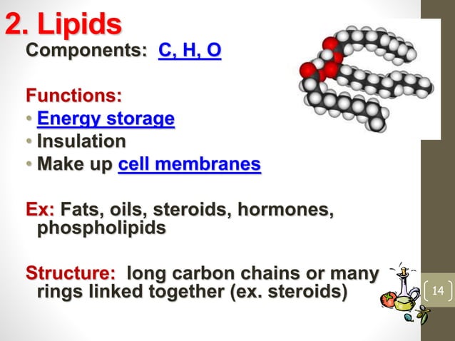 Macromolecules and enzymes ppt notes | PPTX | Hormonal Disorders ...